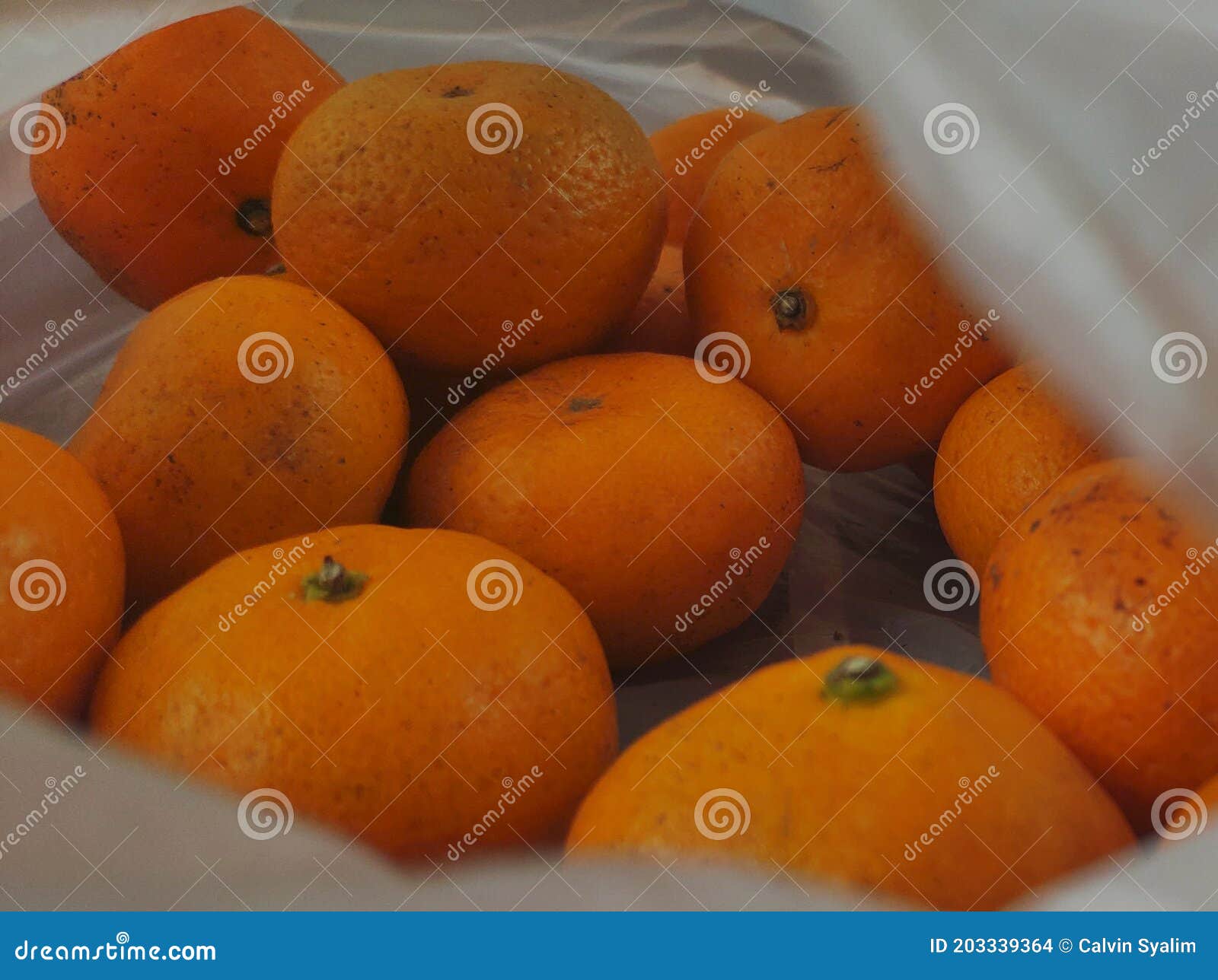 Close shoot orange fruit stock photo. Image of close - 203339364