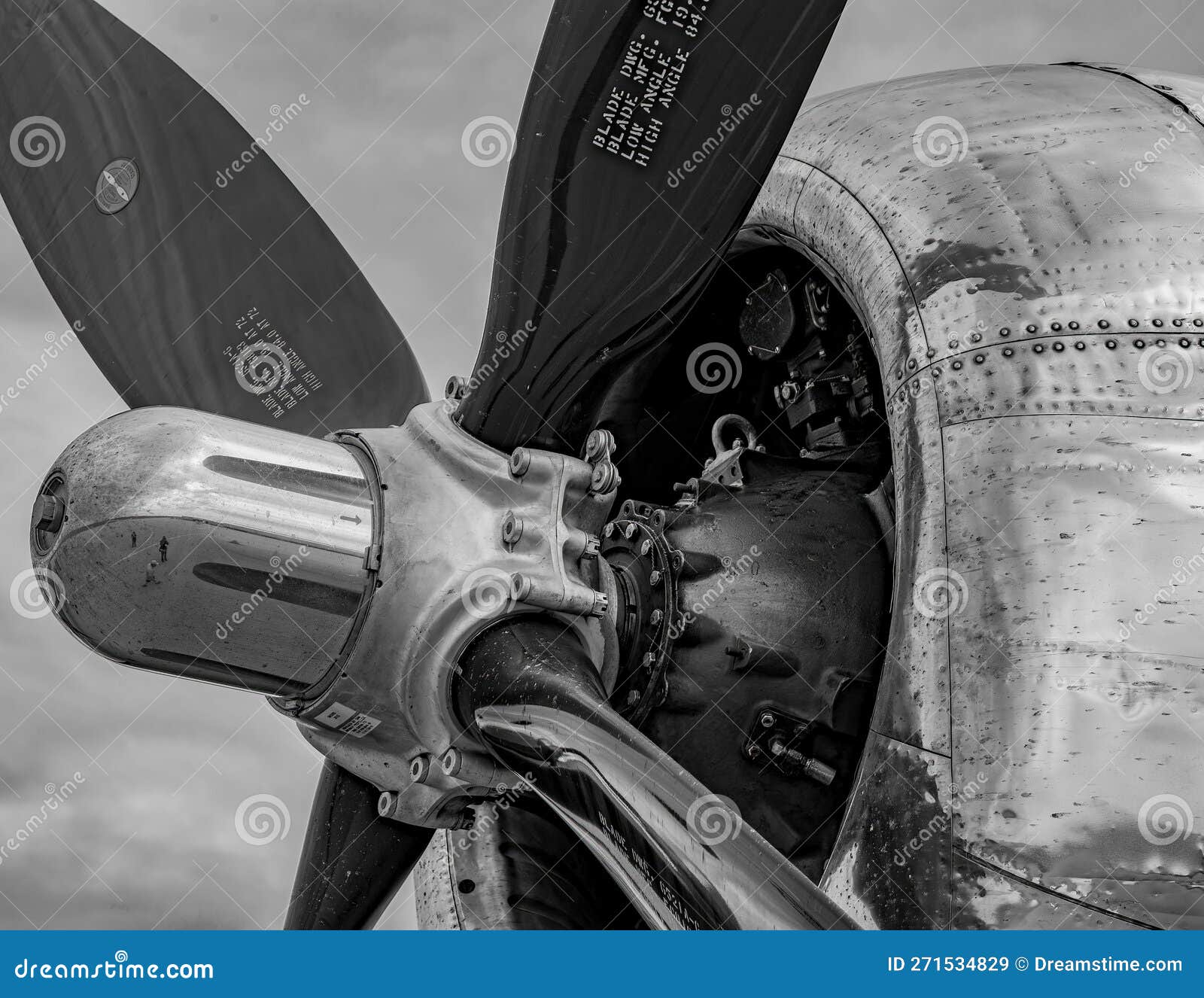The Radial Engine Vedeneyev M-14P Of Trainer/aerobatic Aircraft ...