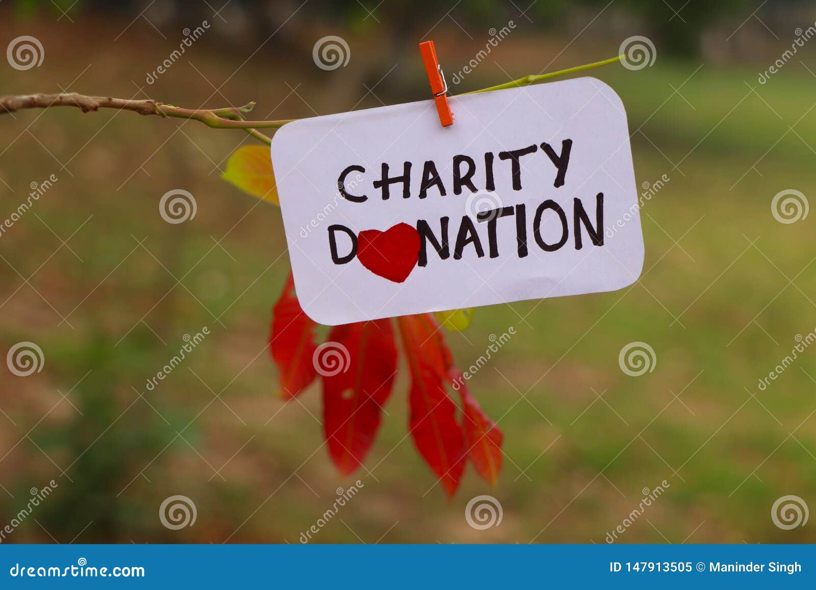Charity Donation Phrase Handwritten on Paper Clipped To a Branch of a ...