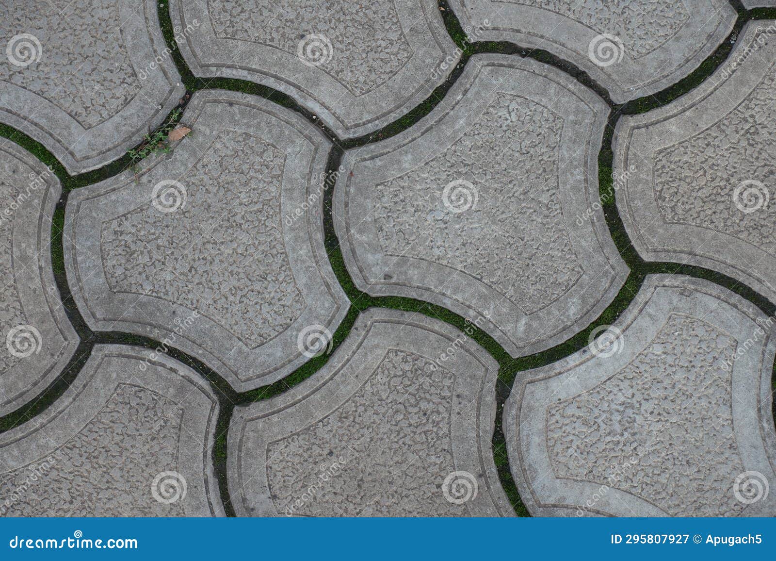 Close Shot of Rounded Grey Concrete Interlocking Paver Blocks Stock ...