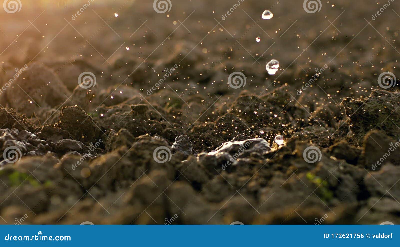 Waterdrops Falling on Soil Earth at Farm Stock Footage - Video of human ...