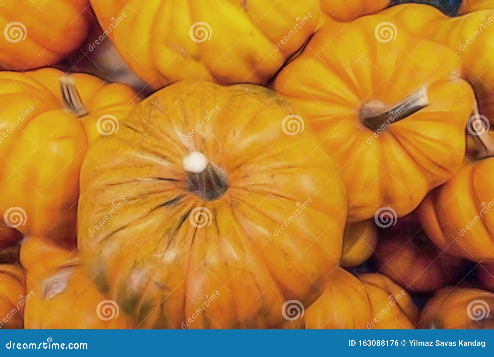 Close Small Pumpkins in Bulk Stock Photo - Image of halloween, ghost ...