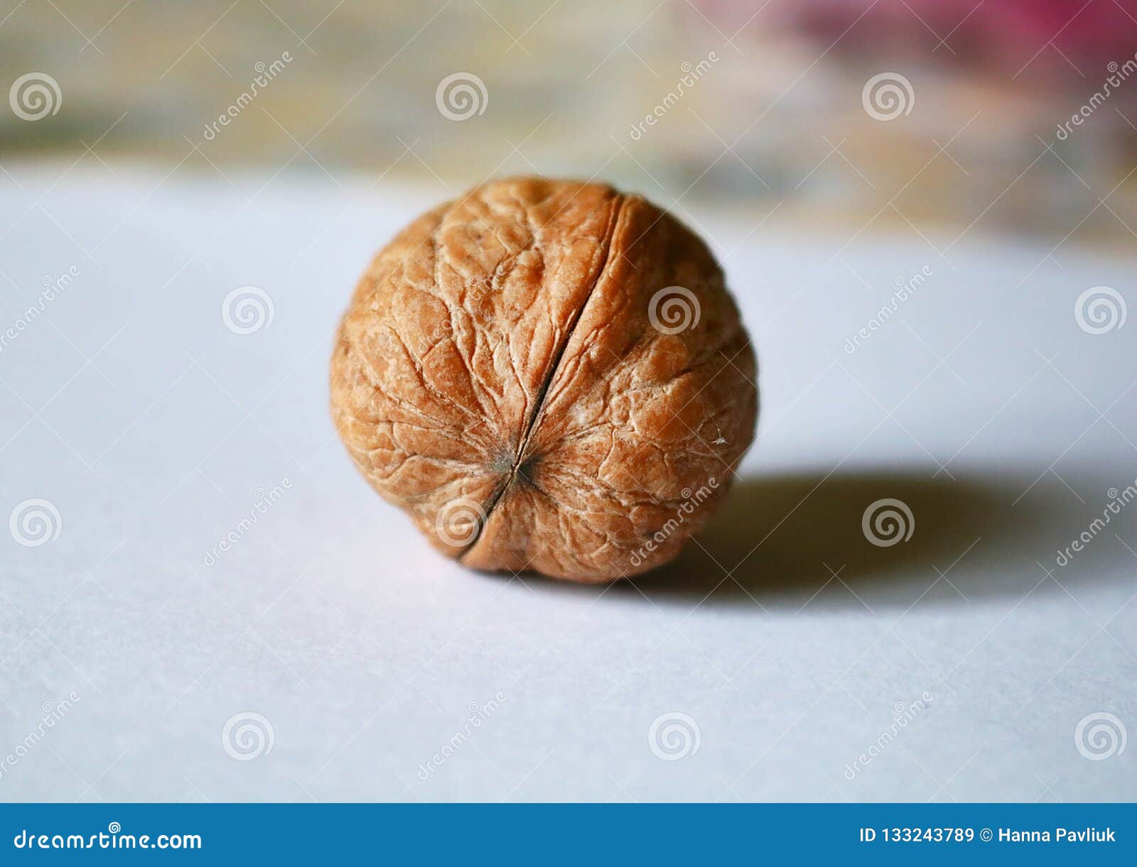 Close Snapshot of a Single Walnut Stock Image - Image of natural ...
