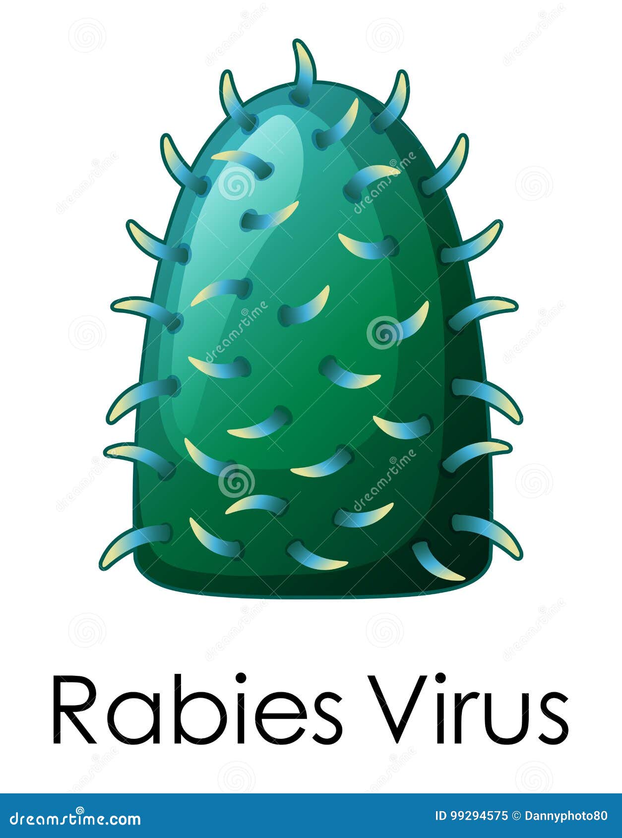 Close Structure of Rabies Virus Stock Vector - Illustration of cell ...