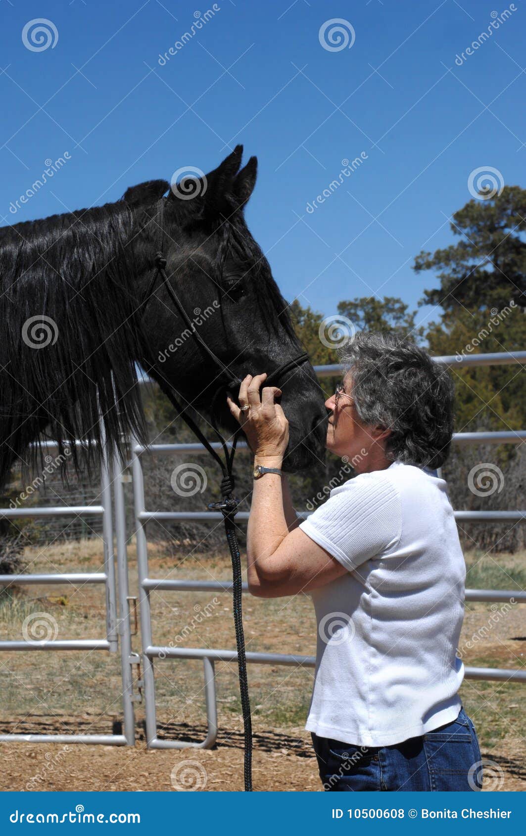Close Ties stock photo. Image of helping, holding, female - 10500608