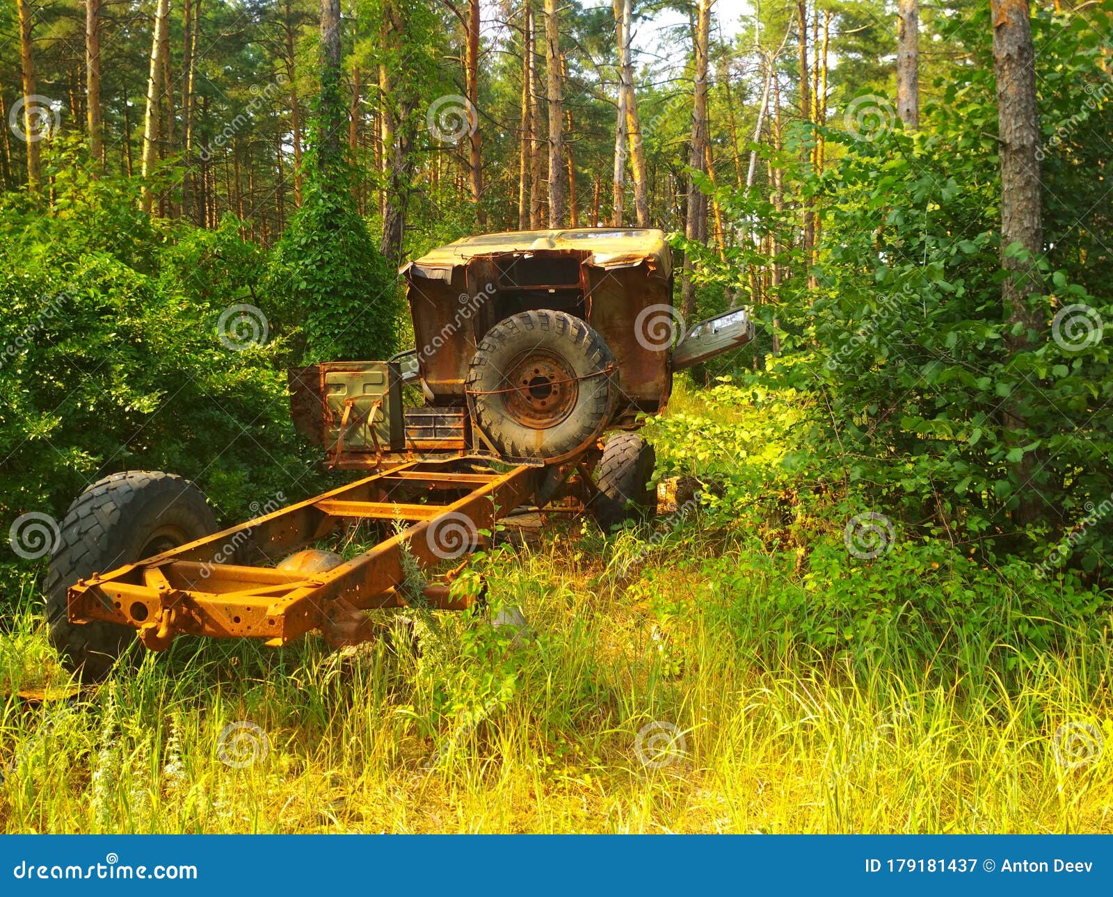 Close Up of Abandoned Broken Car in Forest in Summer. Old Rusty Lorry ...