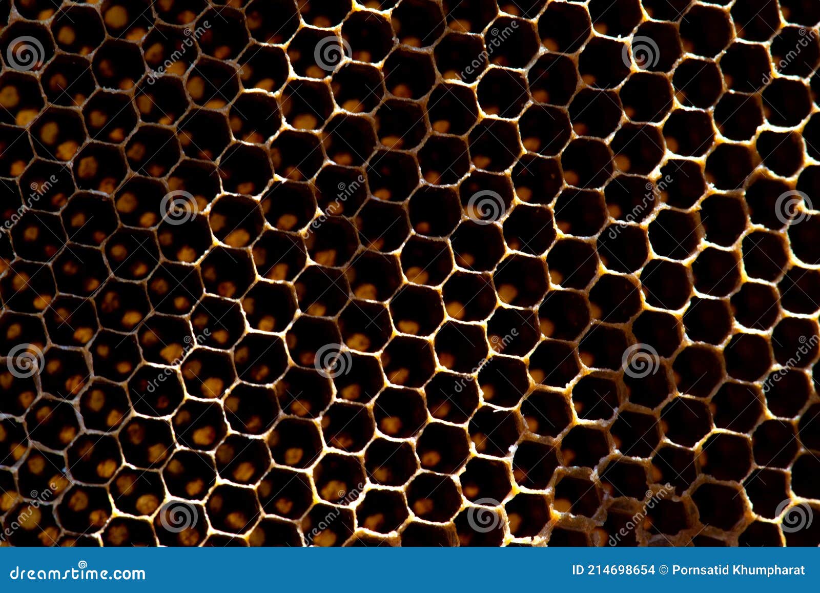 Close Up Abstract Blurred Honeycomb Pattern Stock Photo - Image of ...