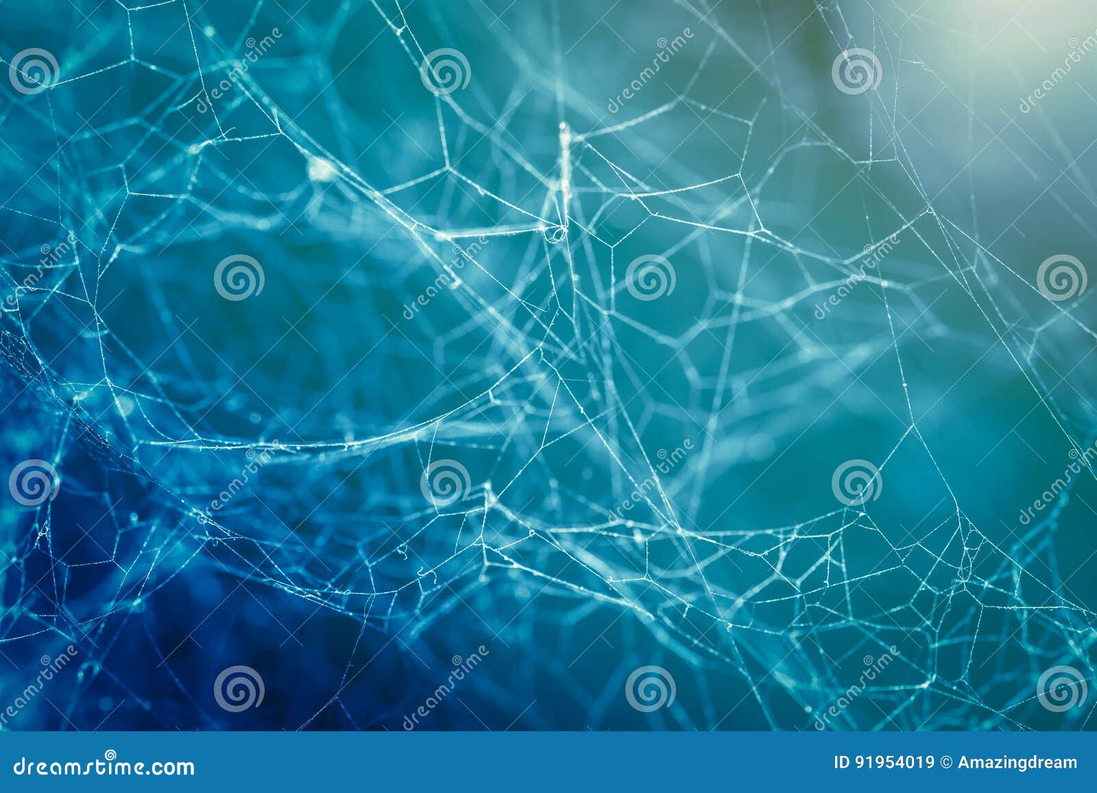Close Up of Abstract Spider Web Stock Image - Image of halloween ...