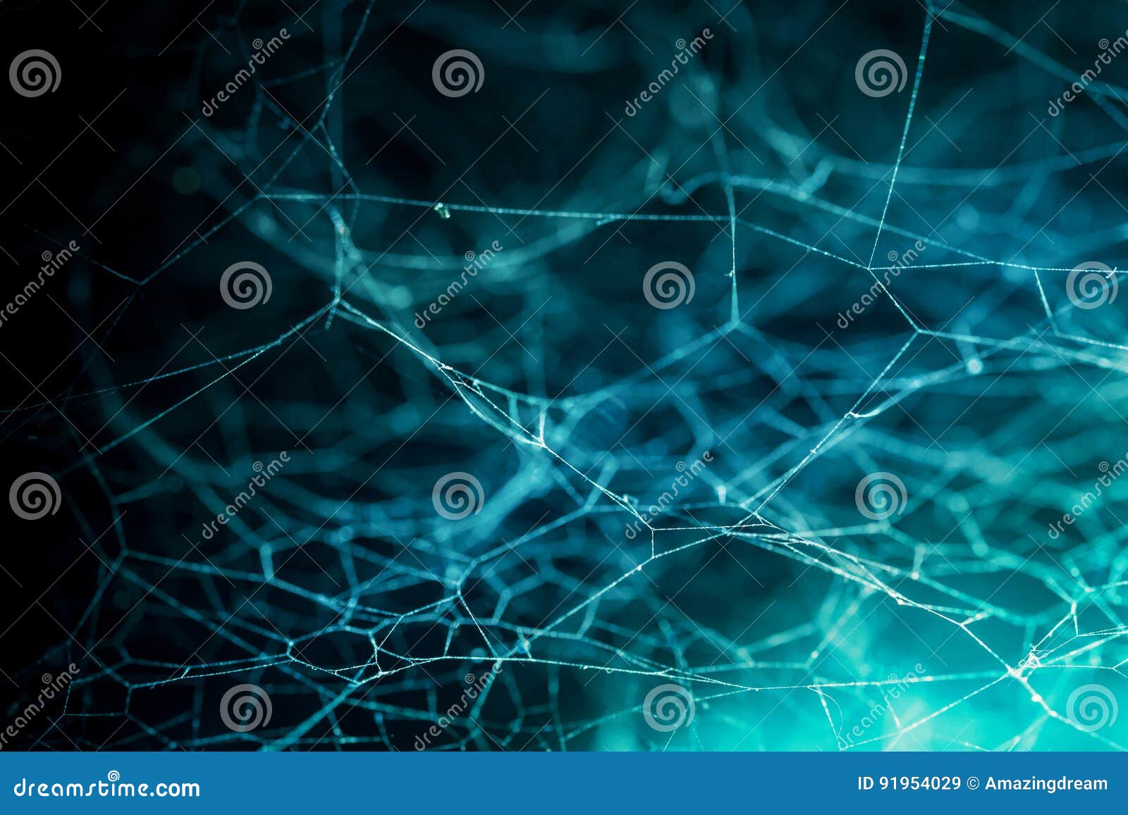 Close Up of Abstract Spider Web Stock Image - Image of dark, natural ...