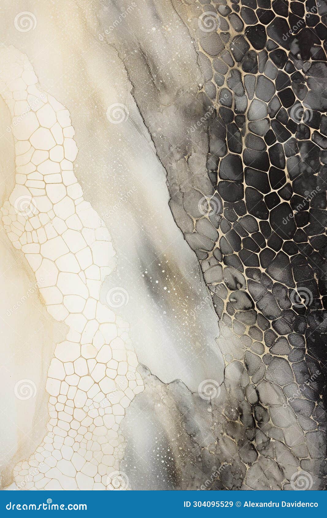 Close-up Abstract Texture, Structure Under a Microscope, Black and ...