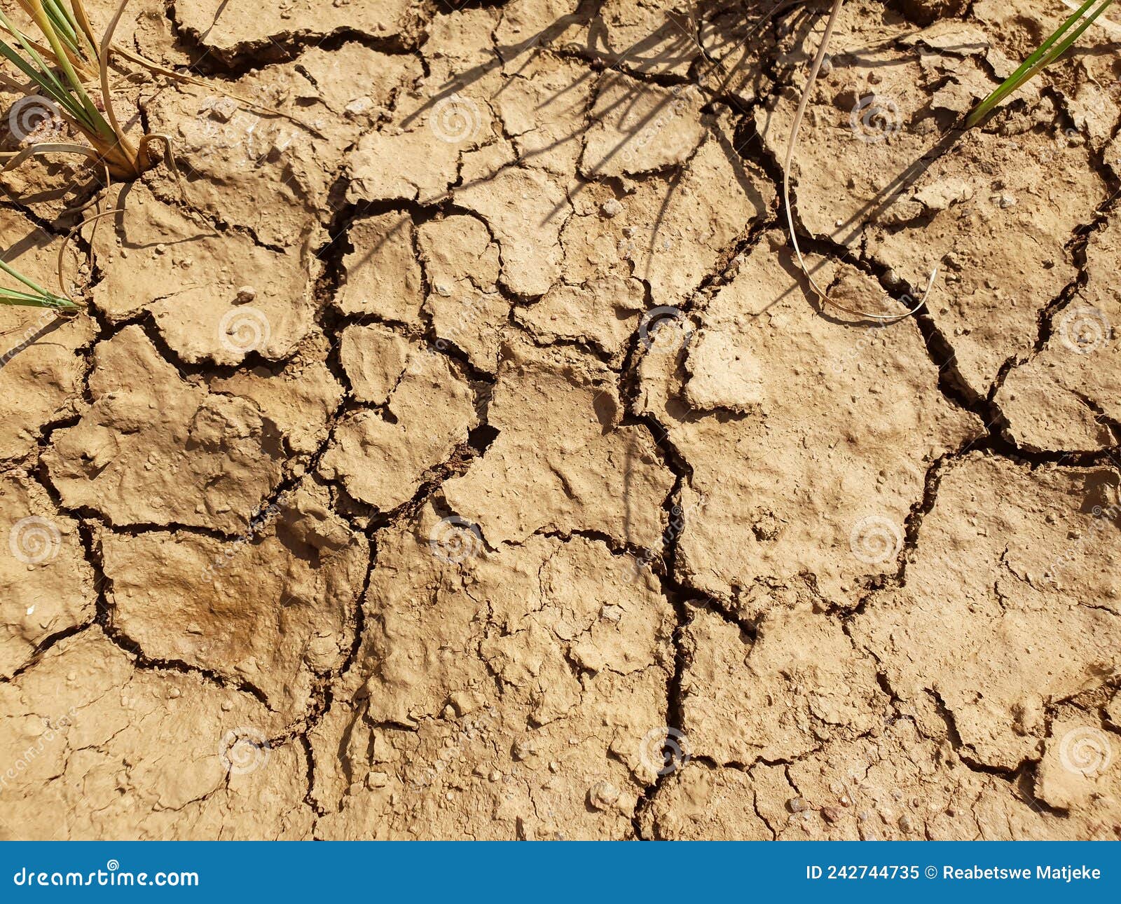 Dried Out Ground Surface with Cracks Stock Image - Image of dehydrated ...
