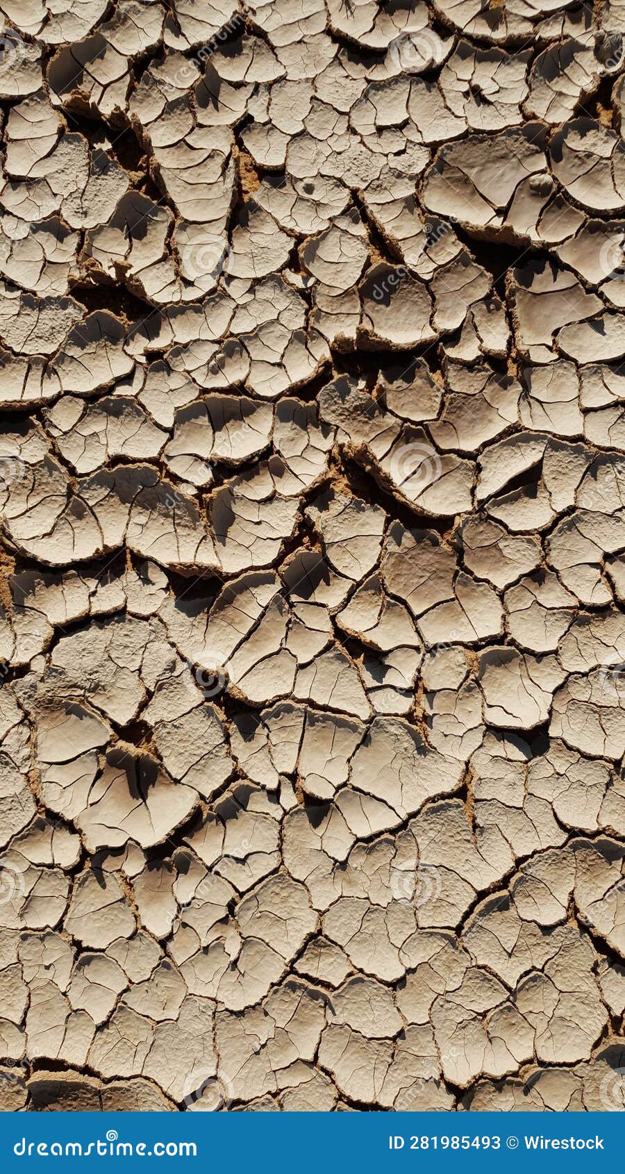 Close-up of an Aged Ground with a Rough, Cracked Surface Stock Image ...