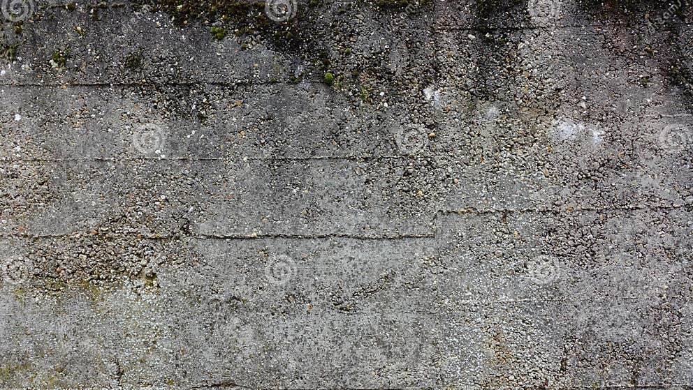 Close-up of an Aging Concrete Wall with Texture and Moss Stock Image ...