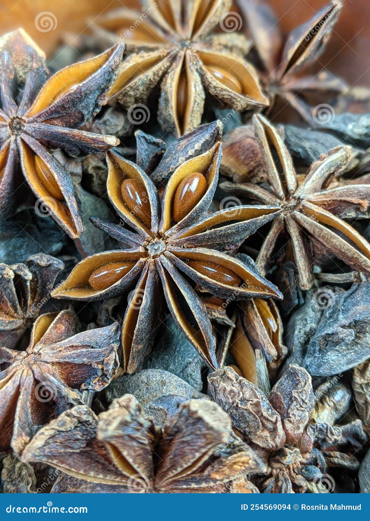 Close Up of Anise Stars Spice Stock Photo - Image of frost, animal ...