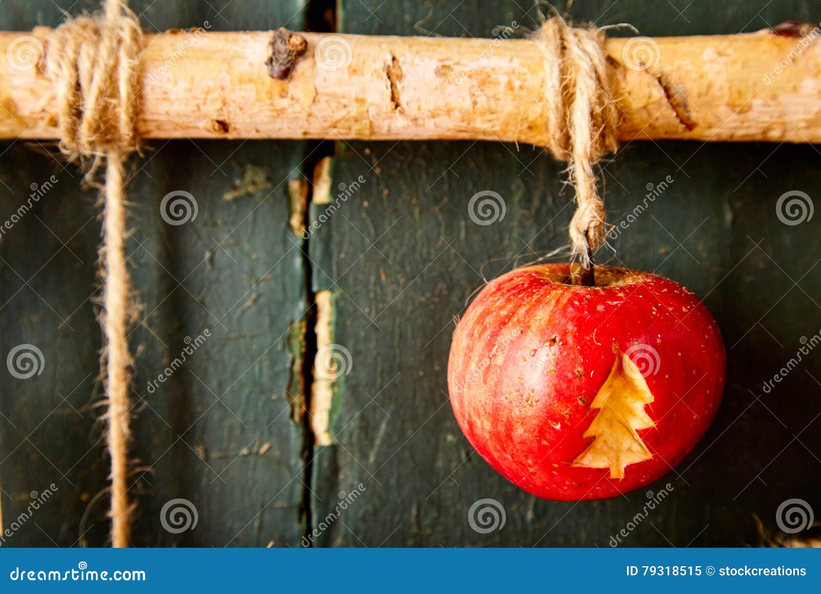 Close Up of Apple with Christmas Tree Cut into it Stock Image - Image ...