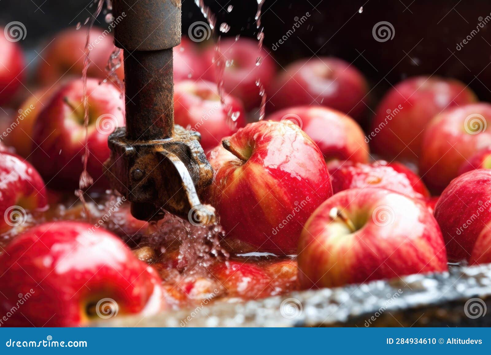 Close-up of Apples Being Crushed in a Press Stock Illustration ...