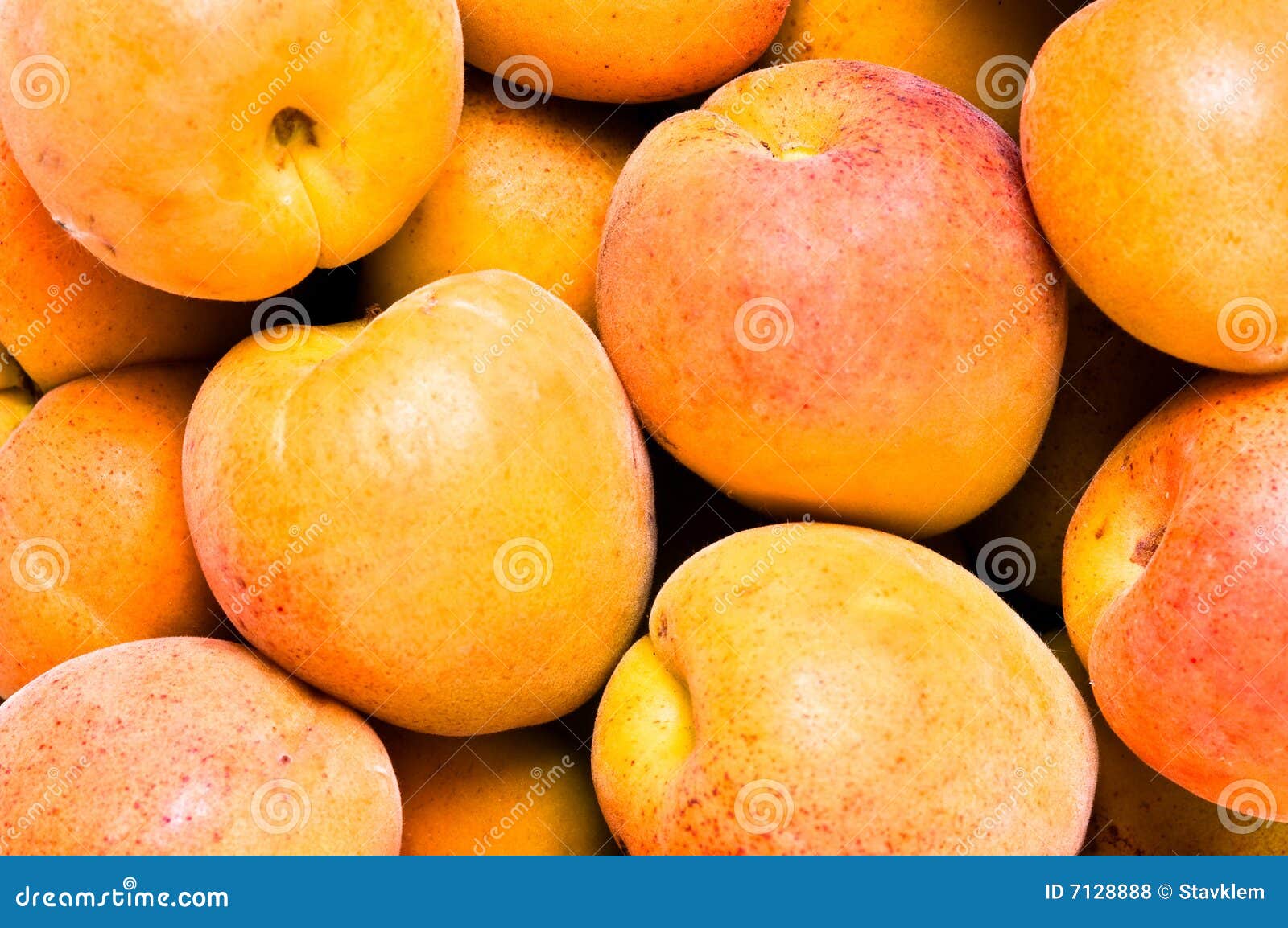 Close-up Apricot Background Stock Photo - Image of fruit, healthy: 7128888