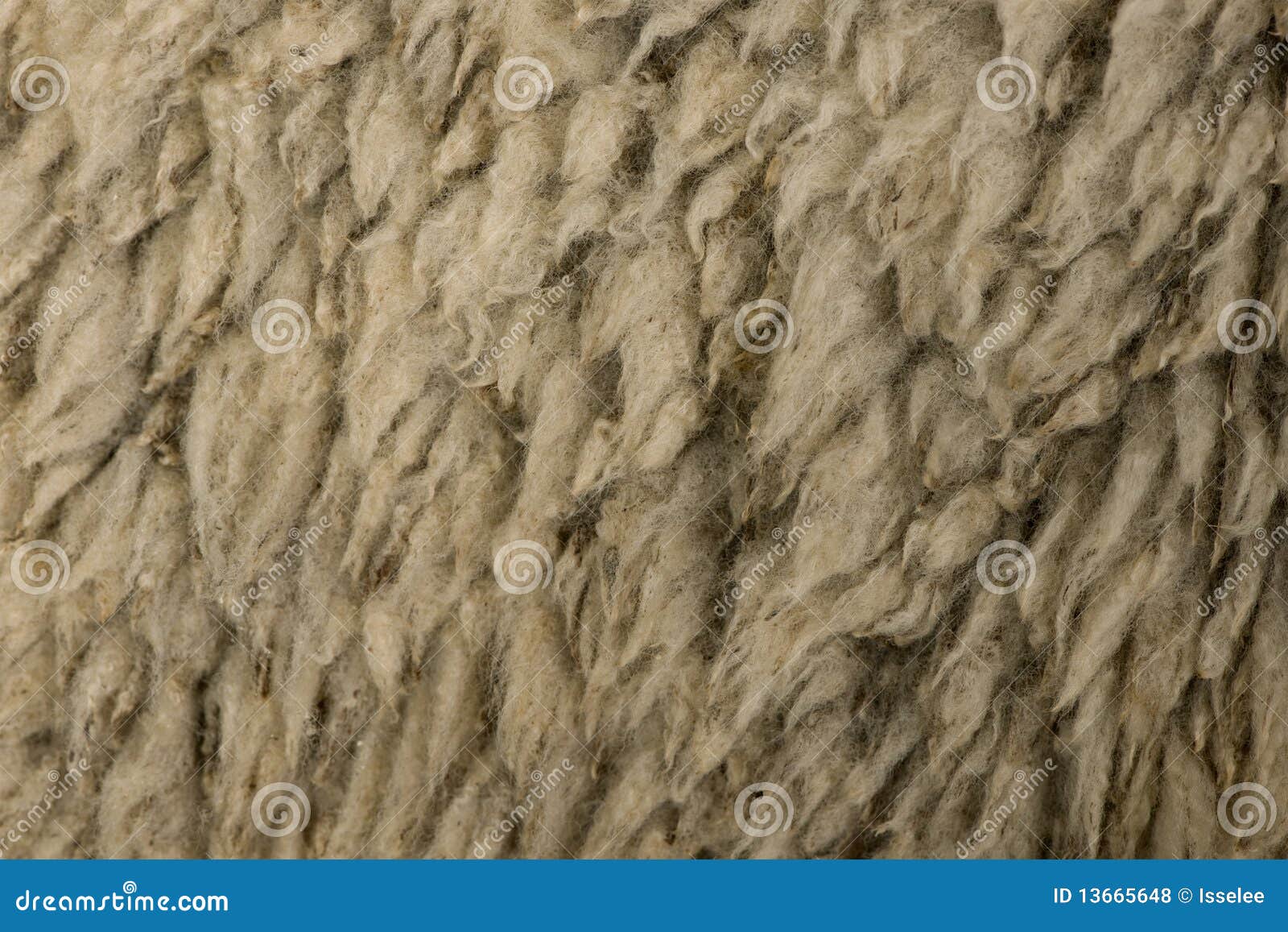 Close-up Of Wool String Stock Photo | CartoonDealer.com #21843180