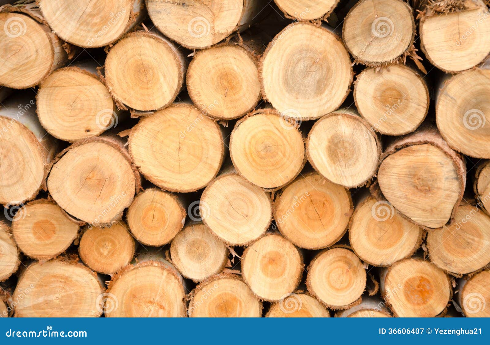 Close-up Arrange Orderliness of the Timber Stock Image - Image of ...