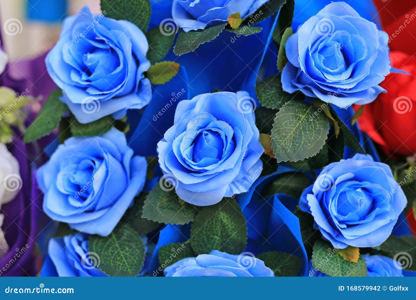 Close-up Artificial Blue Rose Flower Background Stock Photo - Image of ...