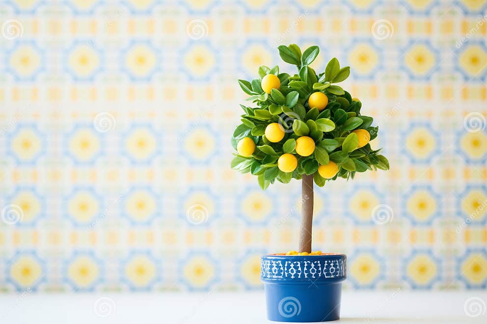 Close-up of an Artificial Lemon Tree Topiary Stock Photo - Image of ...
