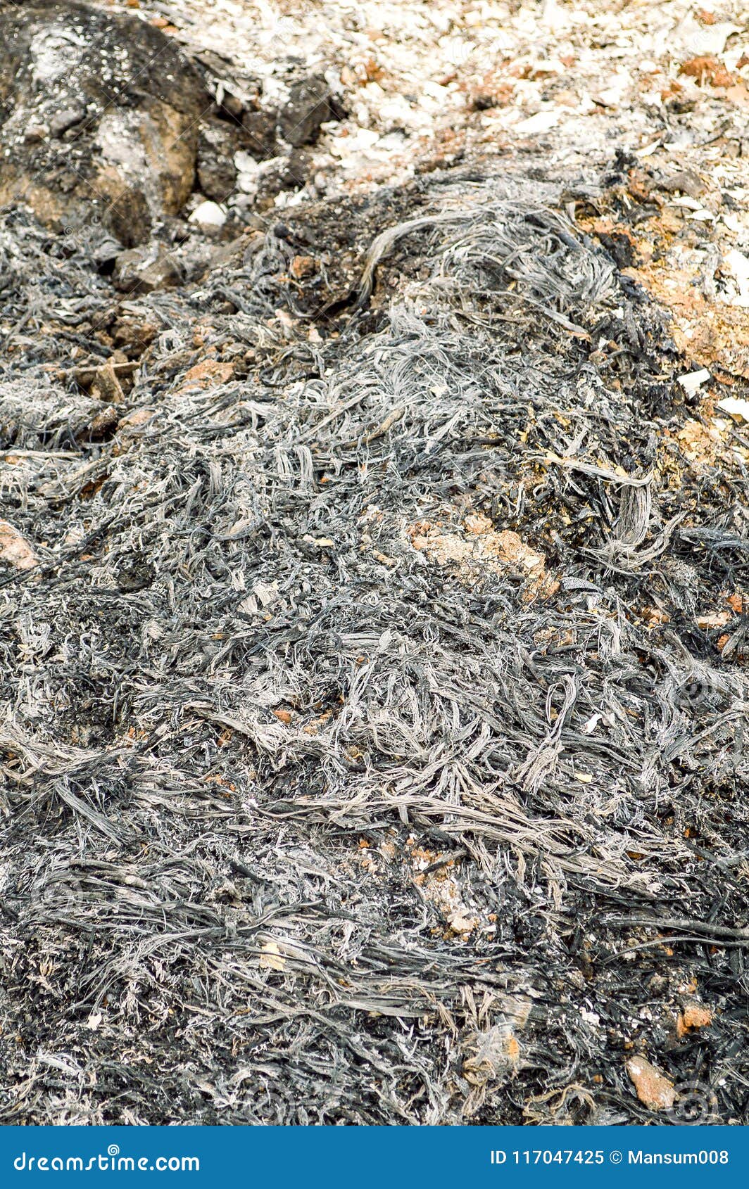 Ash on the ground stock image. Image of outdoor, black - 117047425