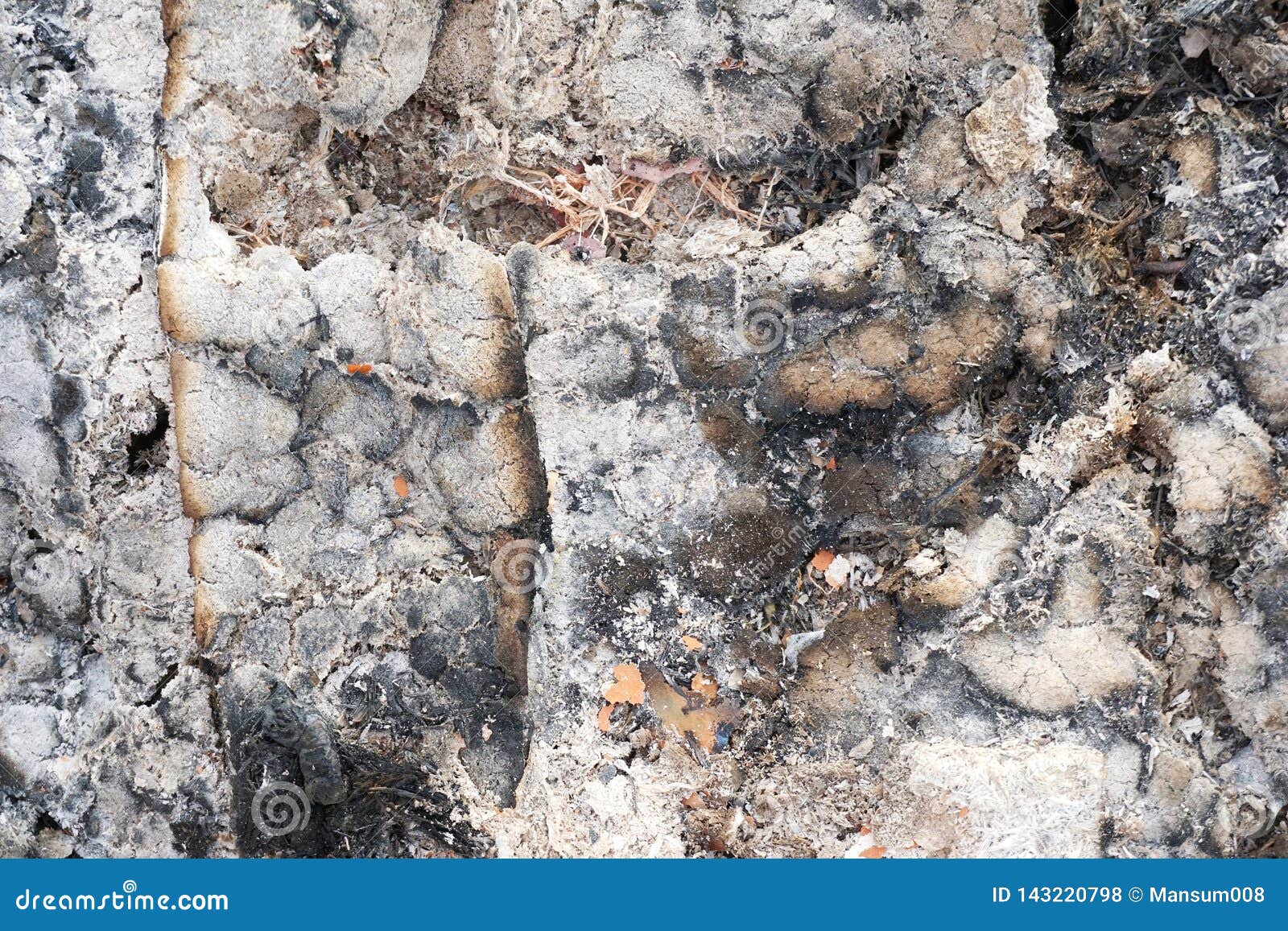 Ash on the ground stock photo. Image of natural, black - 143220798