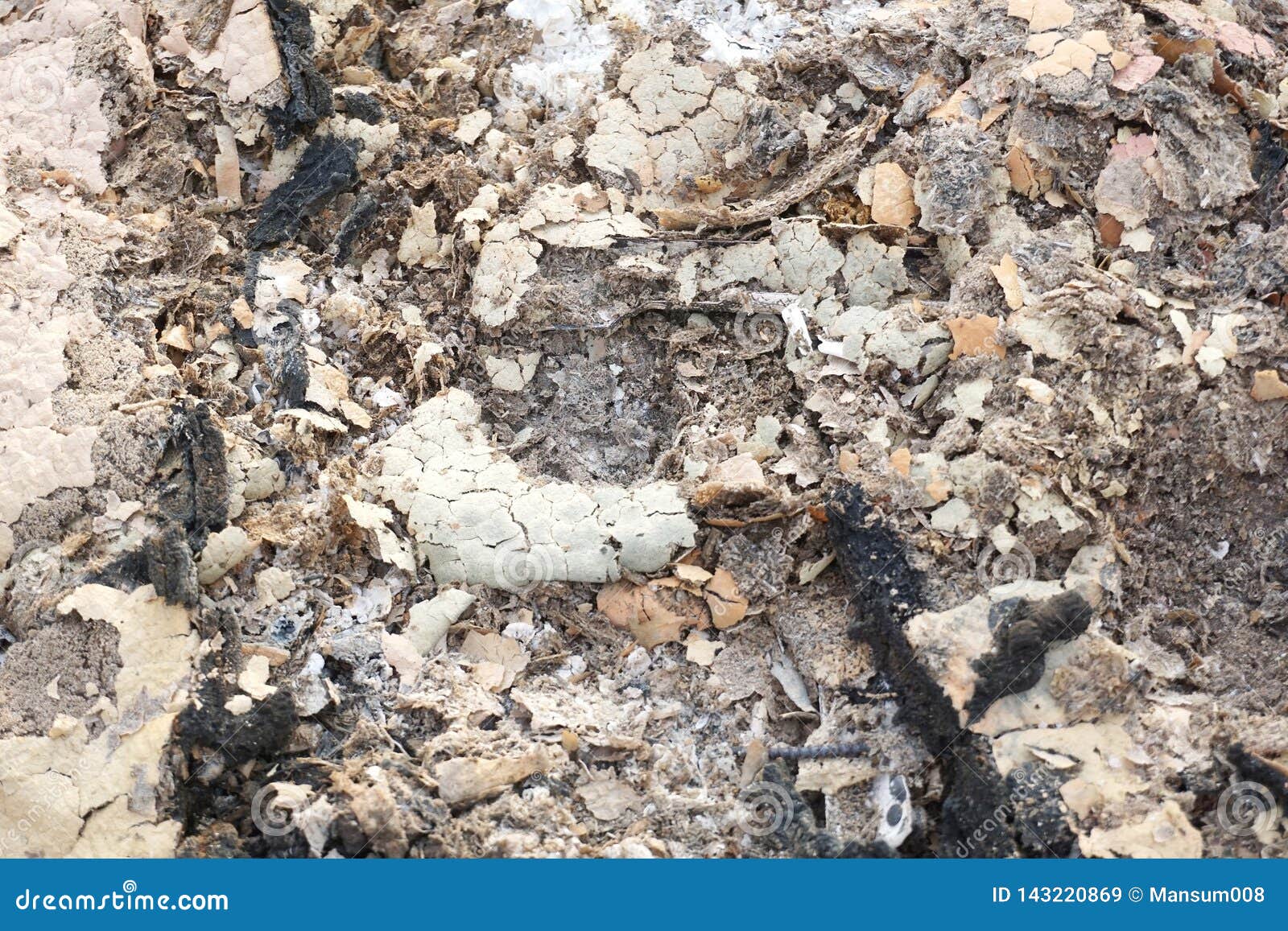 Ash on the ground stock image. Image of fire, close - 143220869