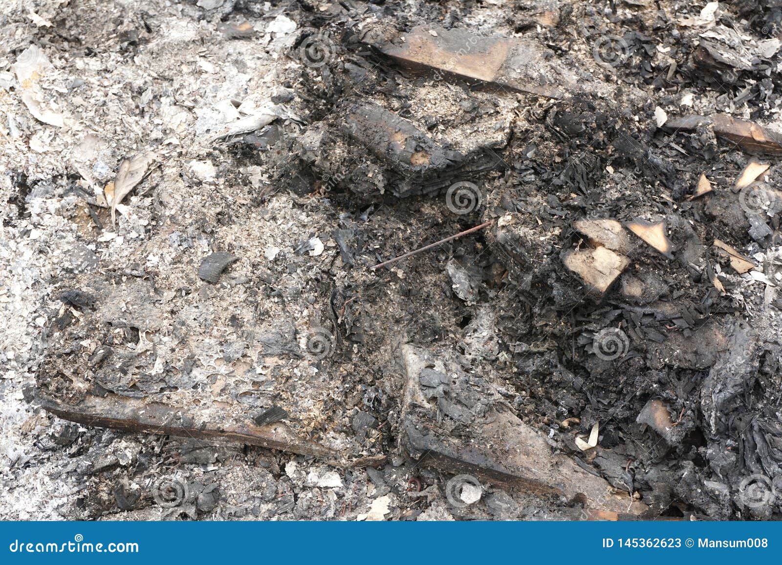 Ash on the ground stock image. Image of nature, texture - 145362623