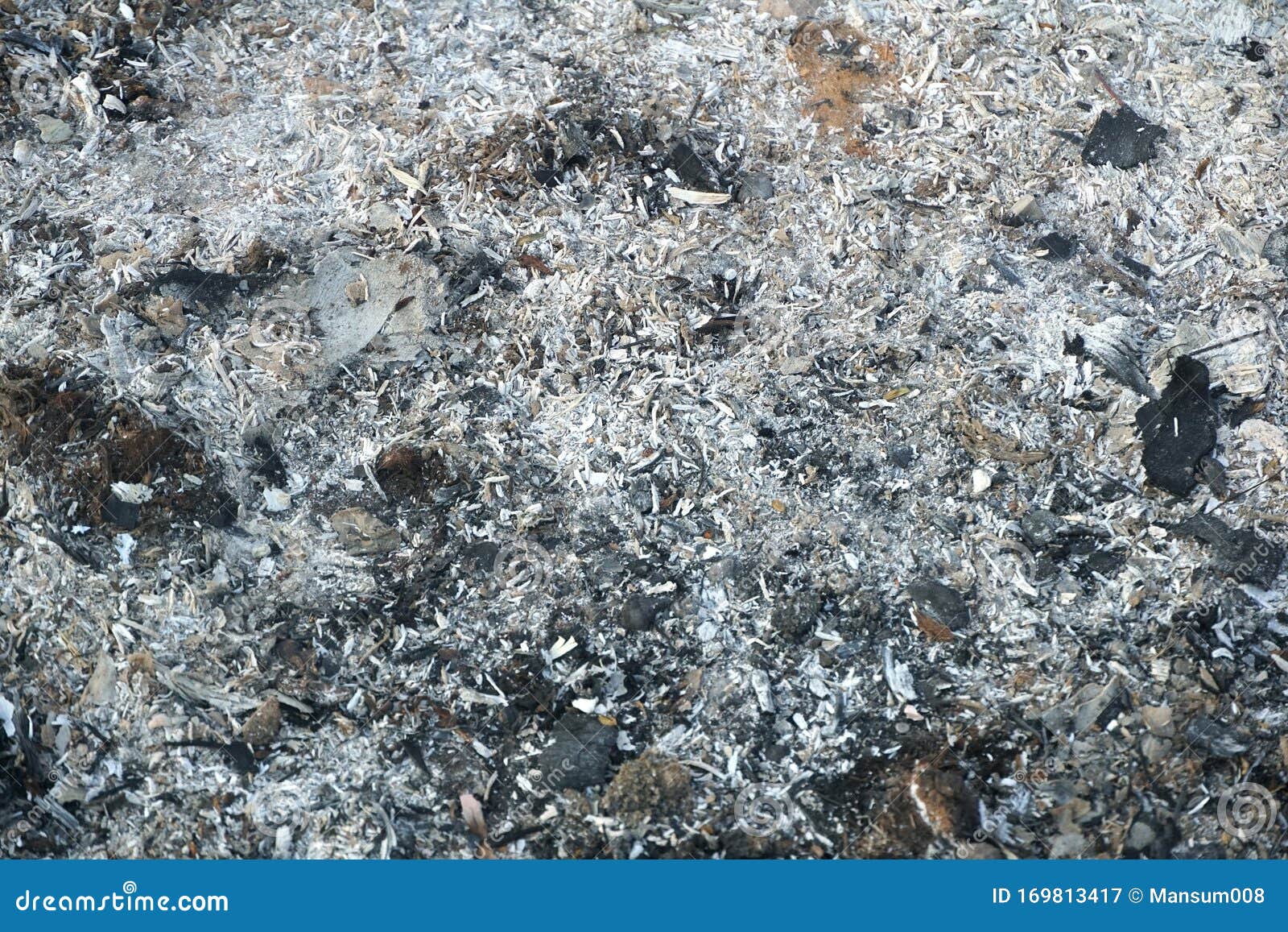 Ash on the ground stock image. Image of black, close - 169813417