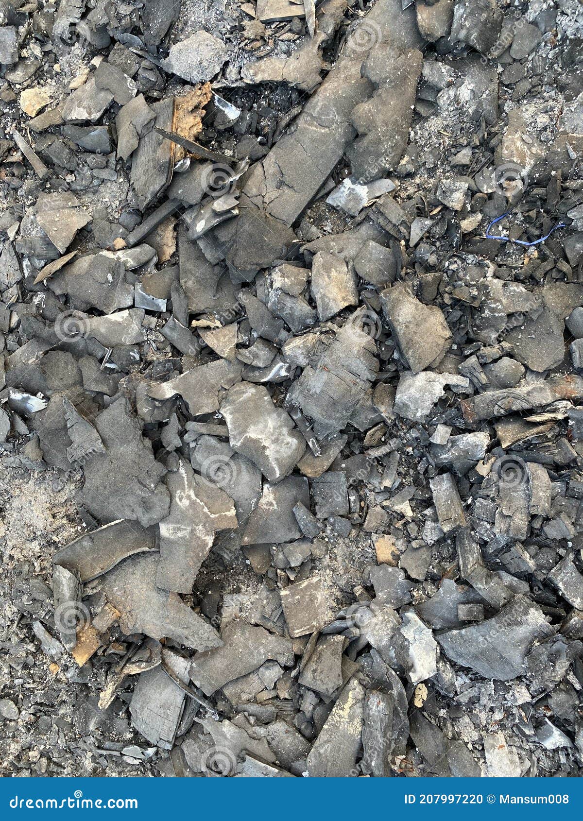 Ash on the ground stock photo. Image of close, nature - 207997220