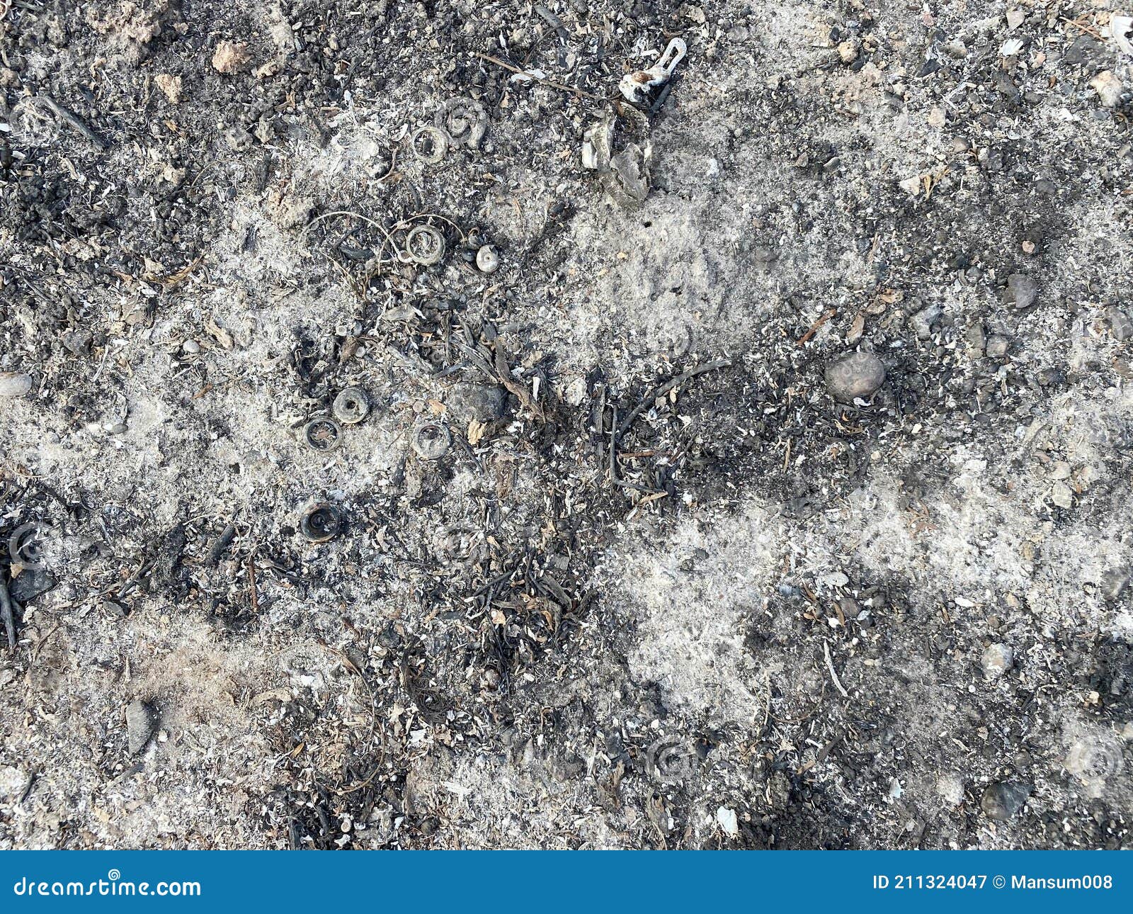 Ash on the ground stock image. Image of close, dirty - 211324047