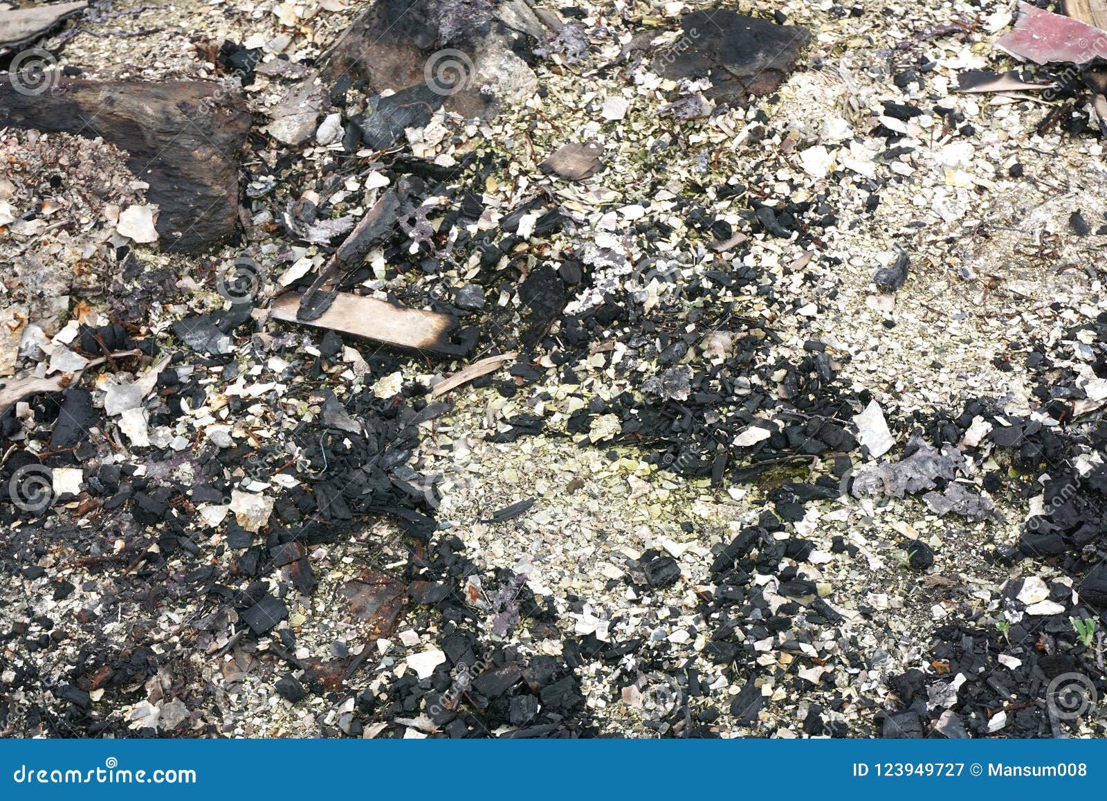 Ash on the ground stock image. Image of ashes, nature - 123949727