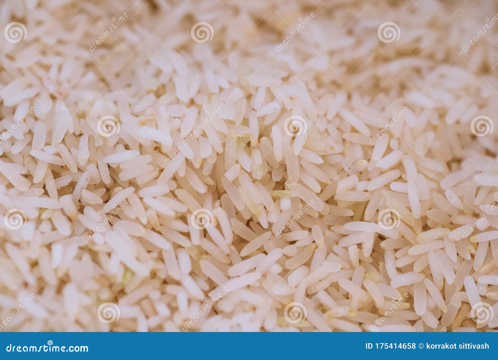 Close Up of Asia Raw Rice Grain and Dry Rice Background Stock Photo ...