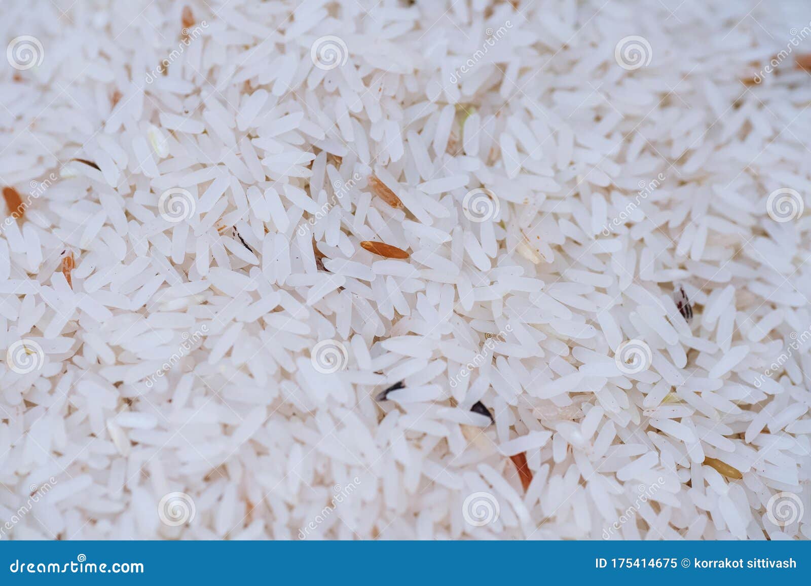 Close Up of Asia Raw Rice Grain and Dry Rice Background Stock Image ...