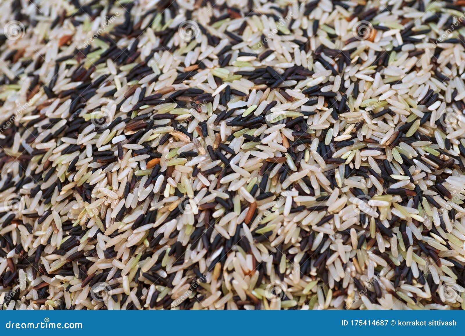 Close Up of Asia Raw Rice Grain and Dry Rice Background Stock Image ...