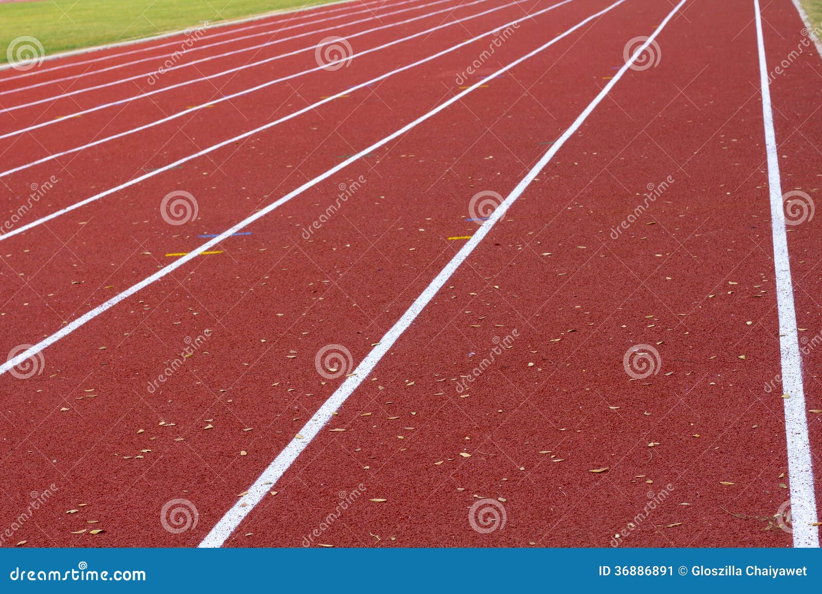 Close Up on Athletics Track Stock Image - Image of green, colorful ...