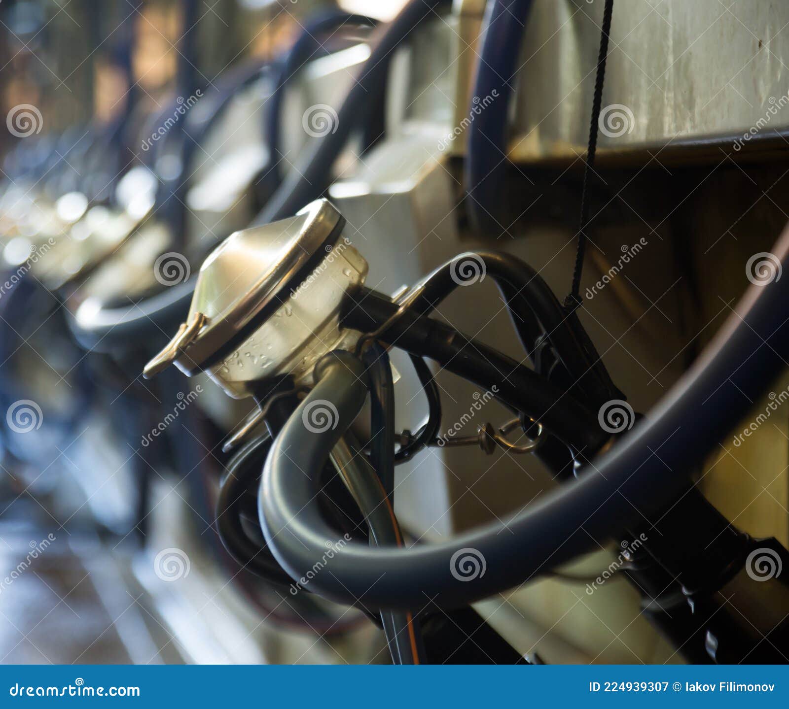 Close Up of Automatic Milking Cluster Stock Image - Image of ...