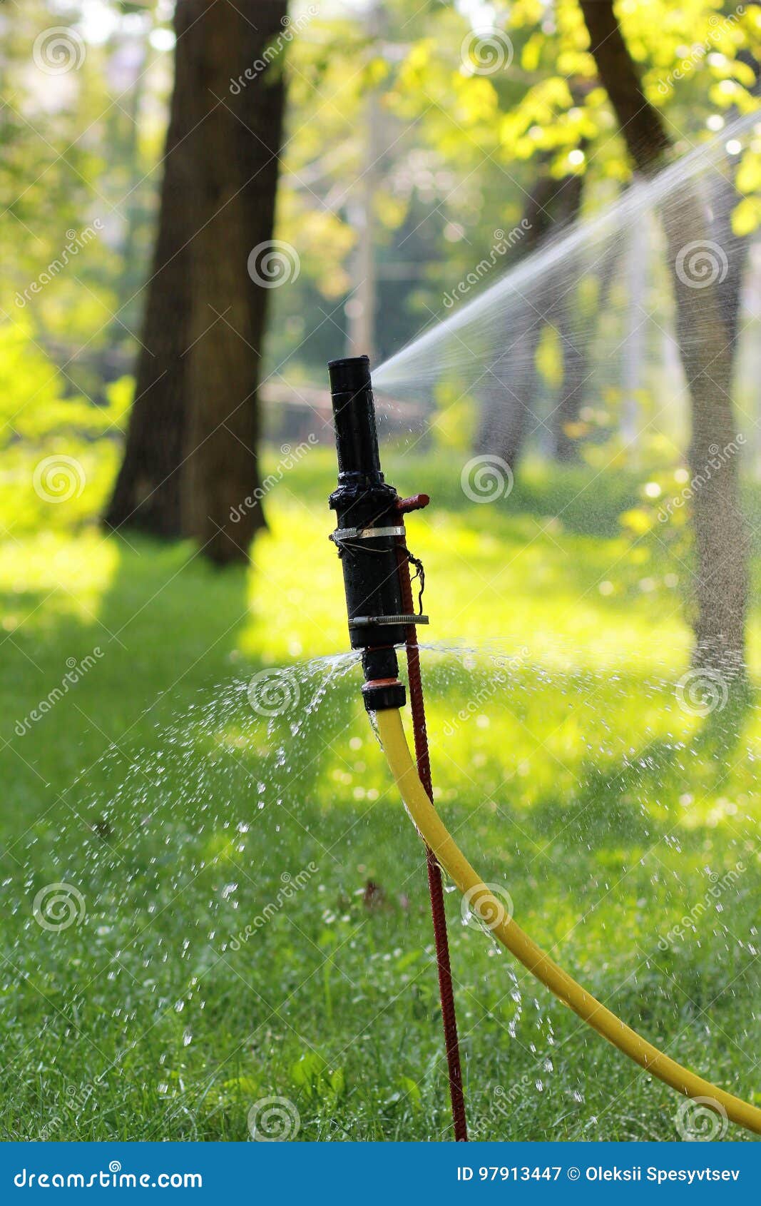 Close Up of Automatic Water System Watering Grass and Trees Stock Image ...