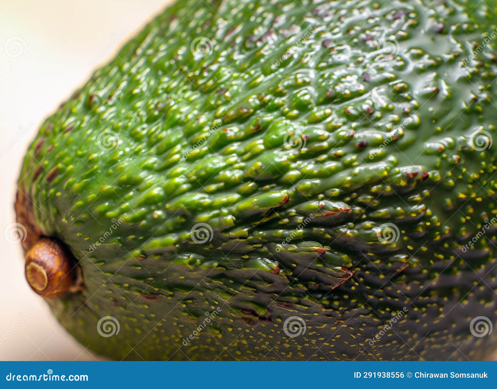 Close up avocado fruit stock illustration. Illustration of avocados ...