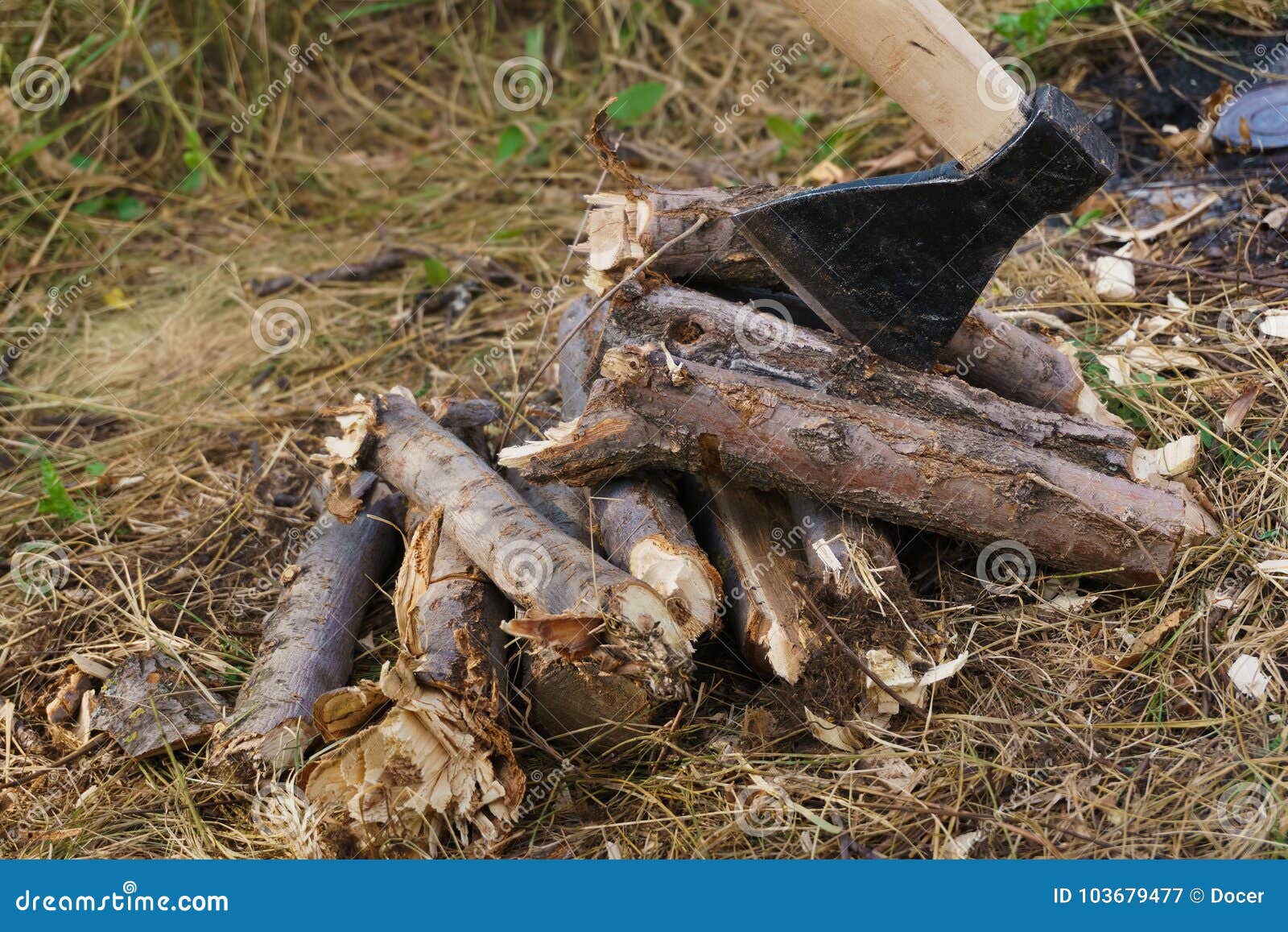 Close-up of Axe Blade in a Wood Stock Image - Image of tools, close ...