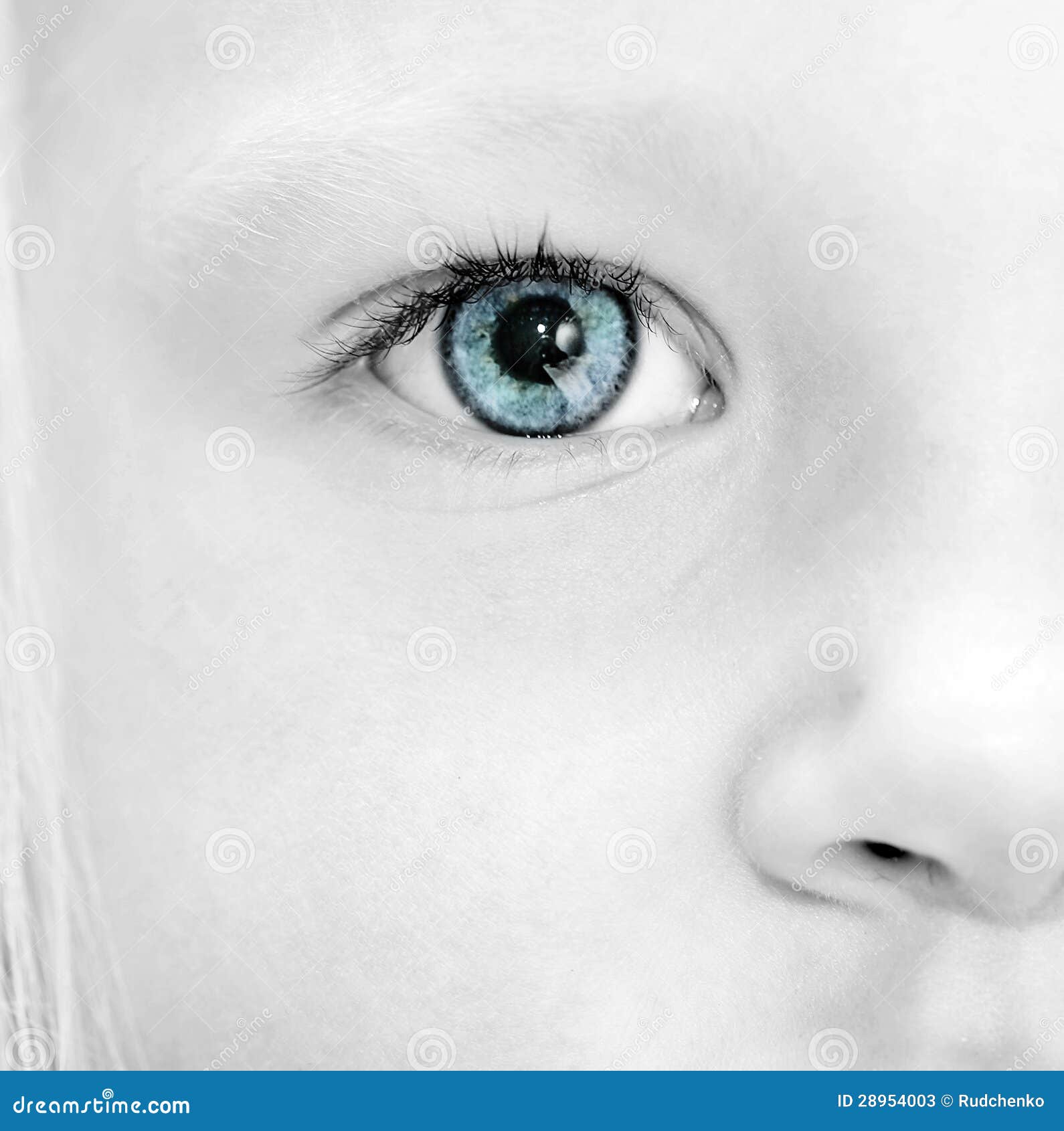Close up baby eye stock image. Image of eyelash, black - 28954003