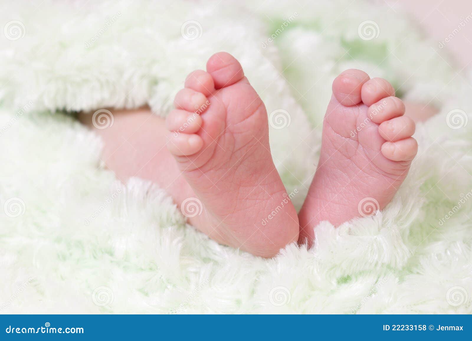 Close up of baby feet stock photo. Image of newborn, girl - 22233158