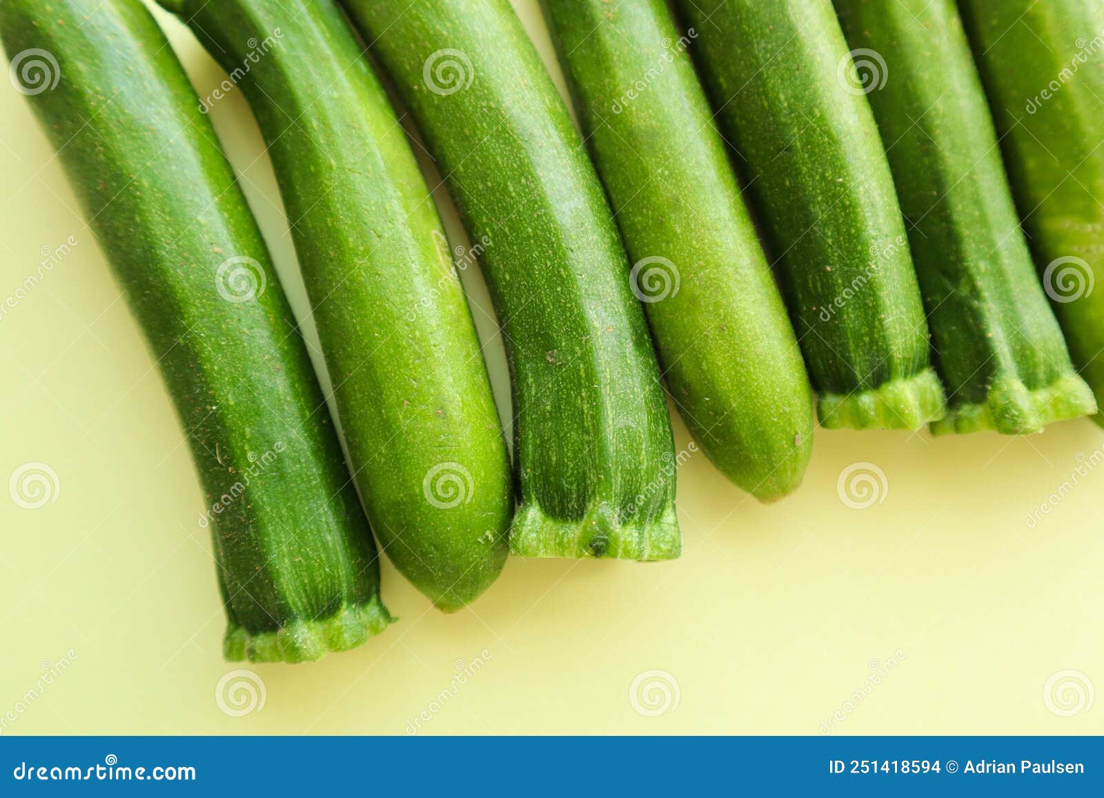 Close up of baby marrows stock photo. Image of gardening - 251418594