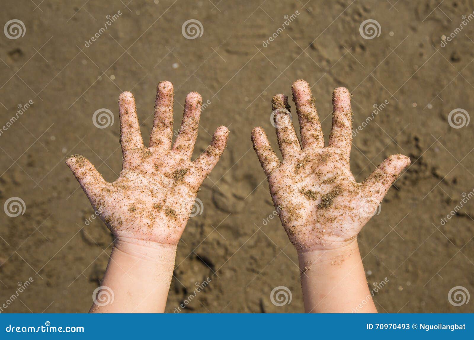 Close Up of Baby Sandy Hands Stock Image - Image of golden, hold: 70970493