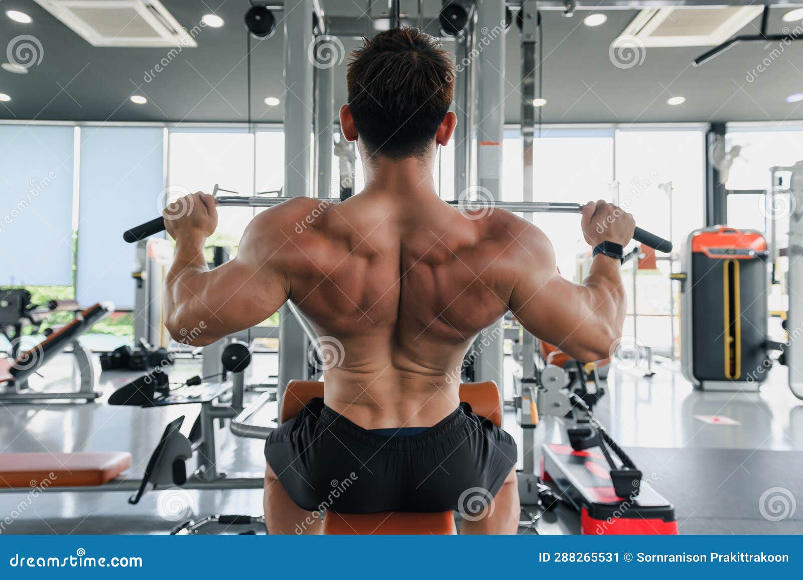 Close-up Back of Bodybuilder Man Workout Doing Cable Rope Pushdowns ...