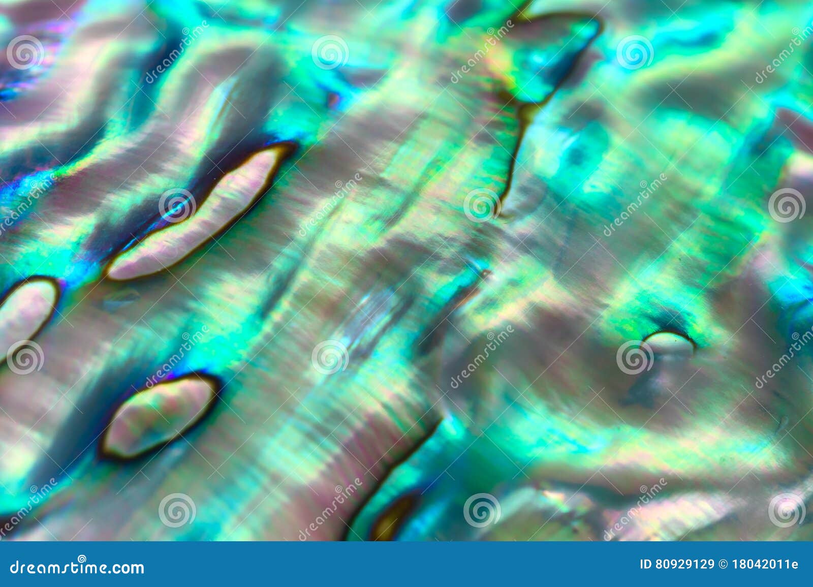 Close Up Background of Abalone Shell, Haliotis Stock Image - Image of ...