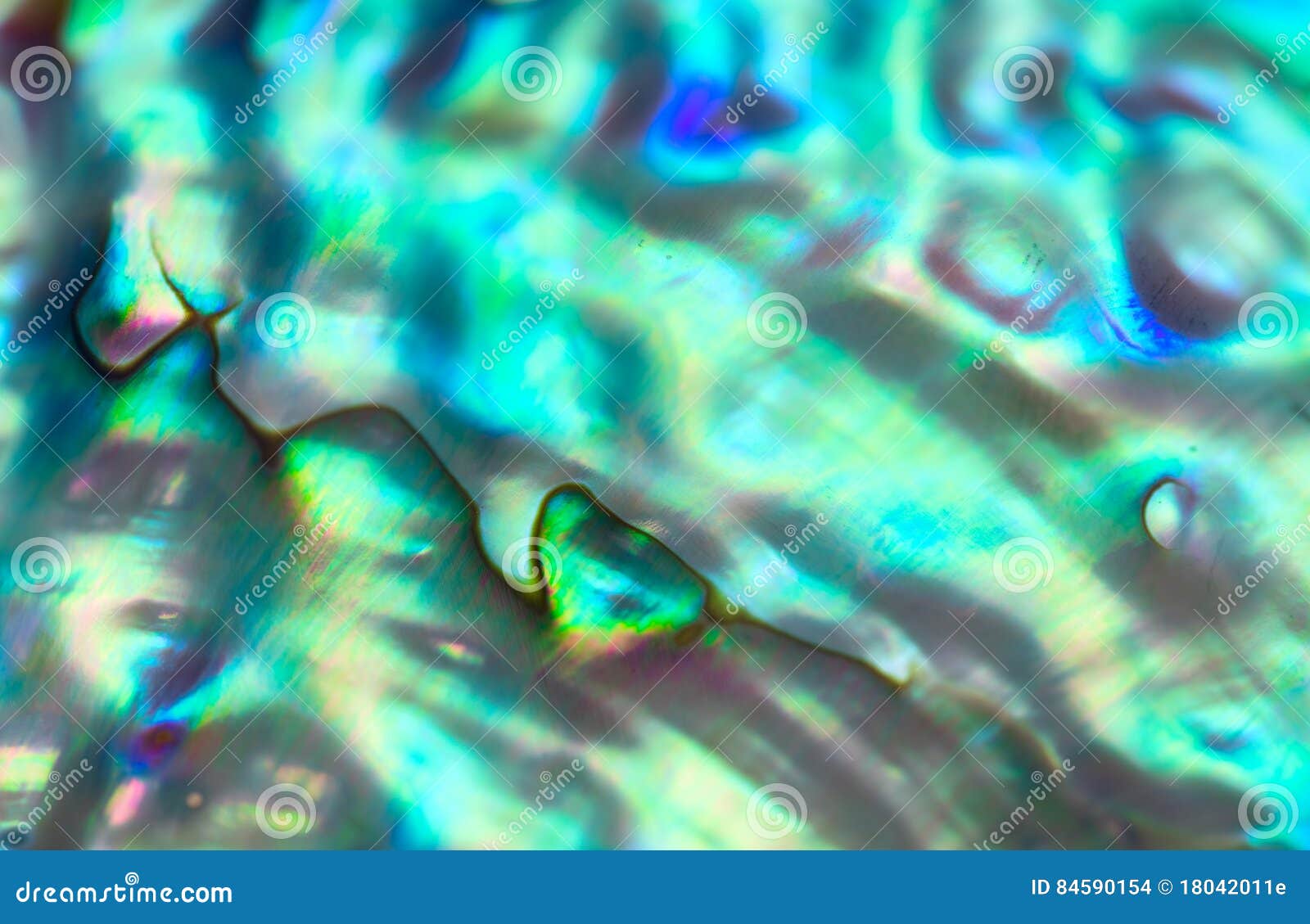 Close Up Background of Abalone Shell, Haliotis Stock Photo - Image of ...