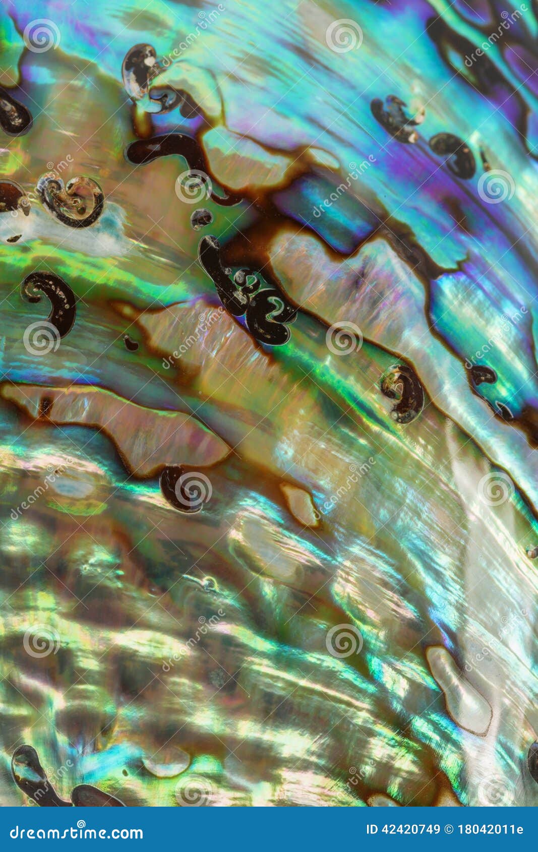 Close Up Background of Blue, Green and Purple Abalone Pearl Shell ...
