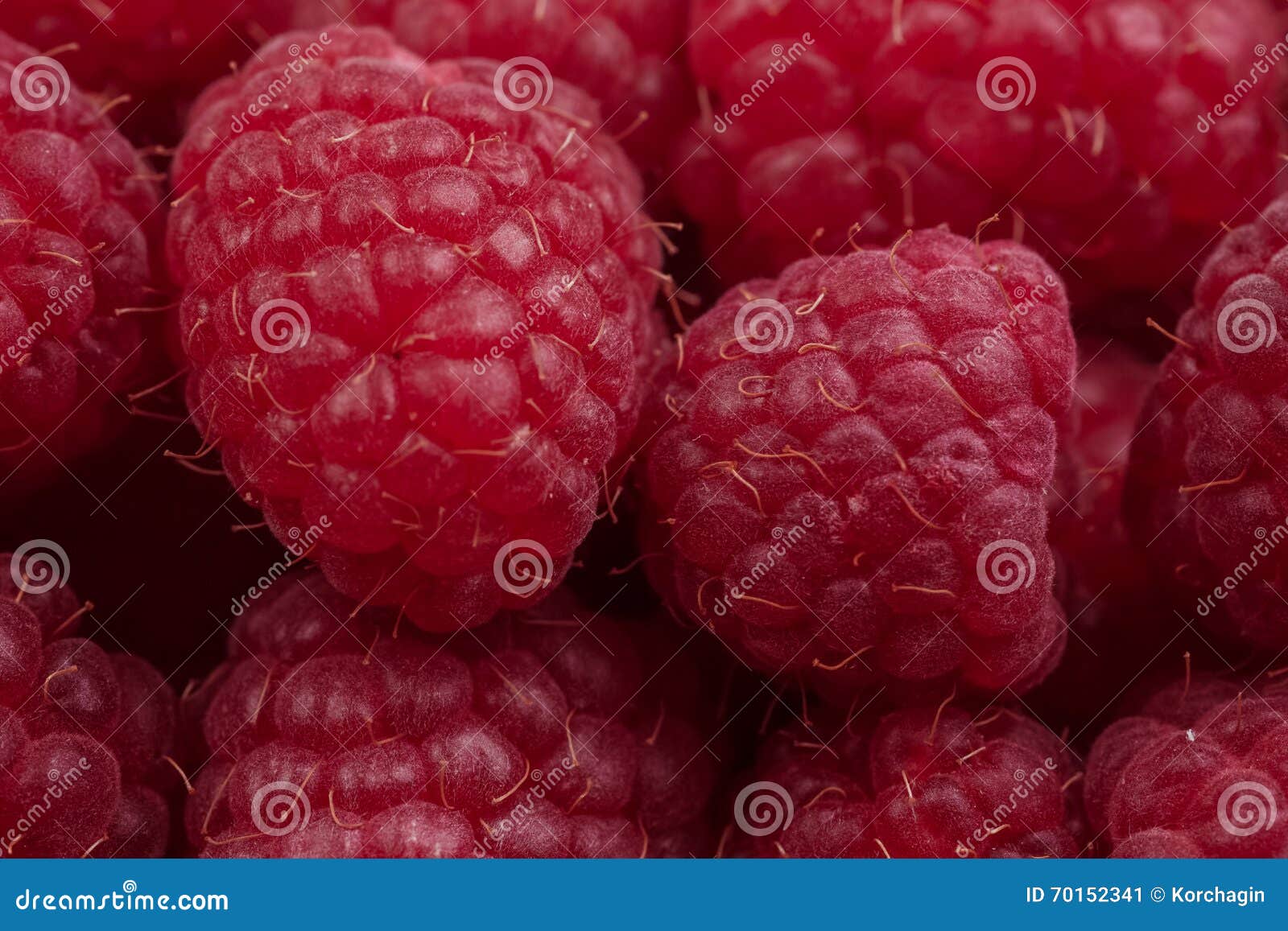 Close-up Background from Raspberries Stock Image - Image of plant ...